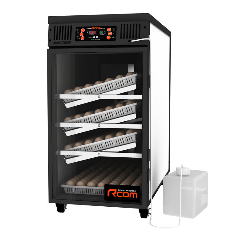 Инкубатор Rcom MARU CT 380 Deluxe Max — цена и характеристики | Petscage